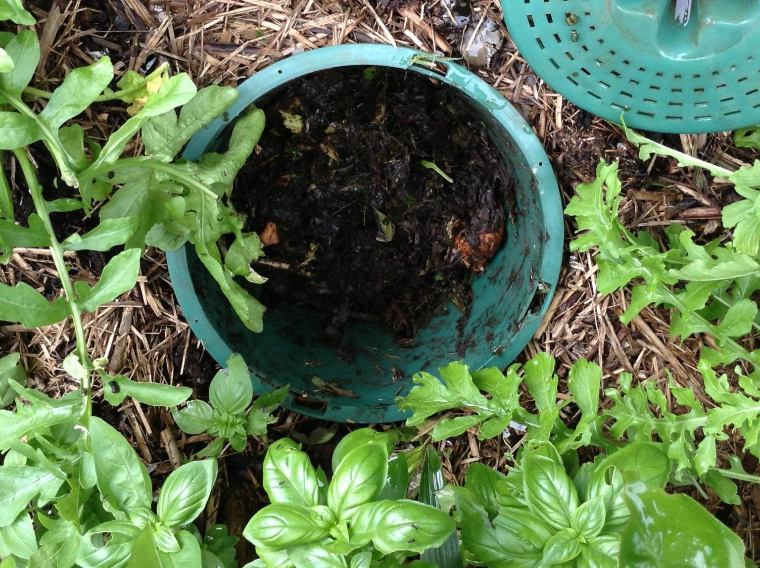 Fast efficient compost bin - Direct Compost Solutions