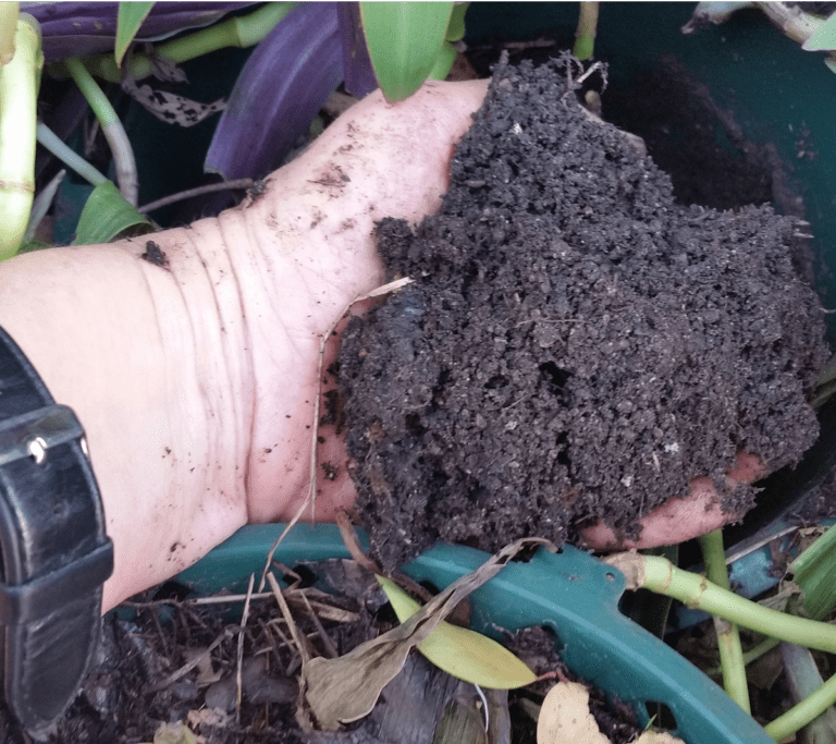 What Makes Good Compost? - Direct Compost Solutions