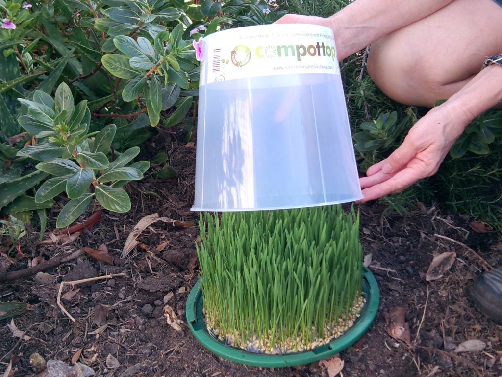 Portable Composter Propagator Tops - Direct Compost Solutions