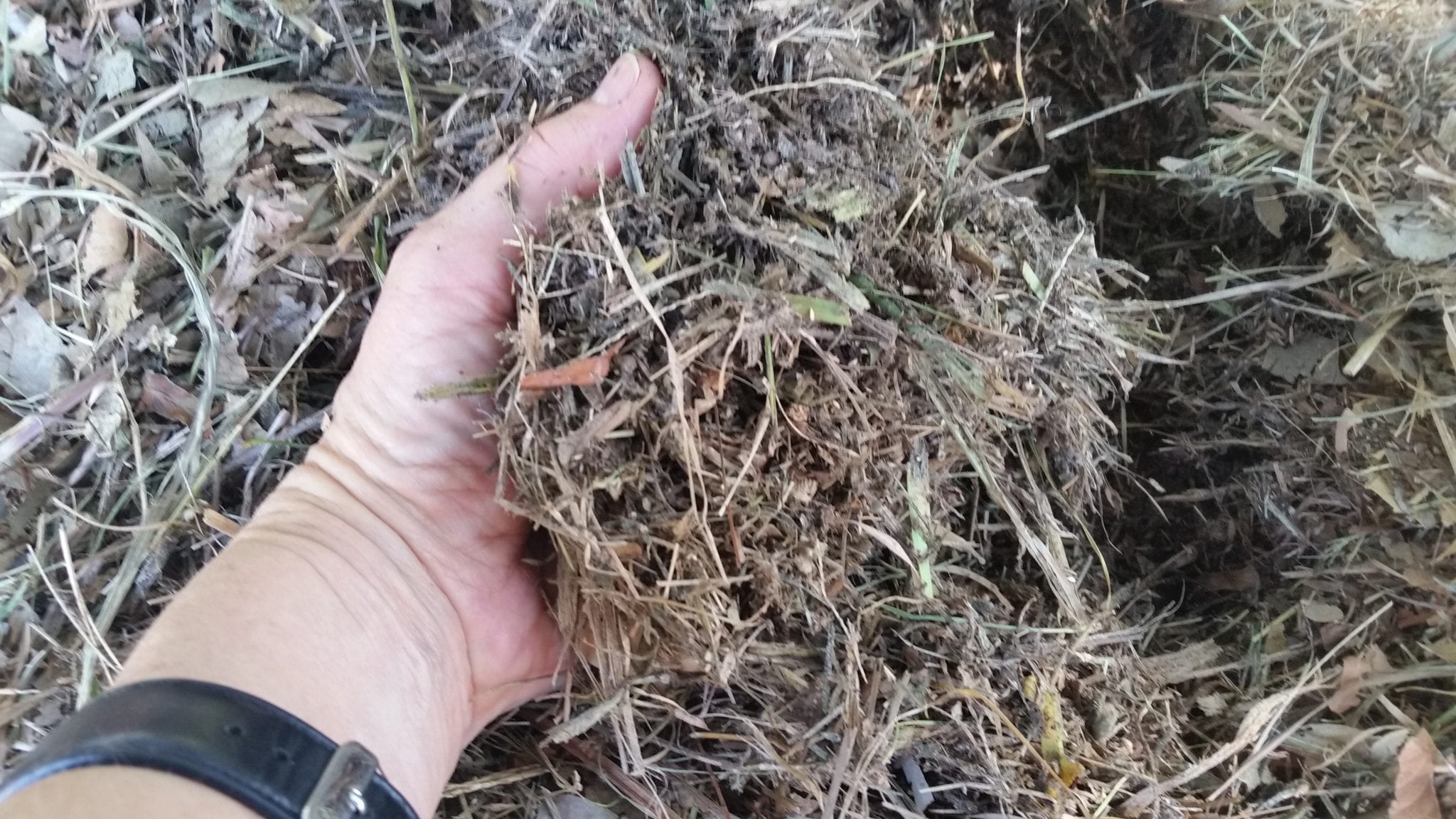 What Makes Good Compost? - Direct Compost Solutions