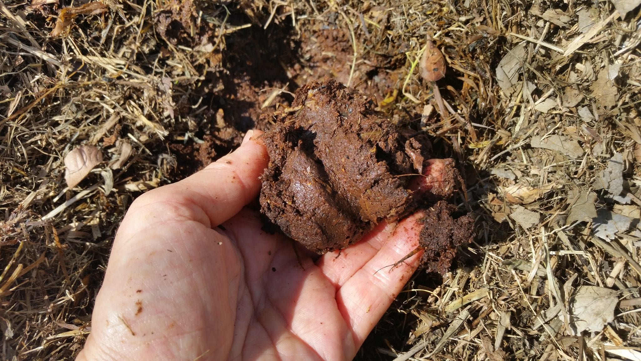 What Makes Good Compost? - Direct Compost Solutions