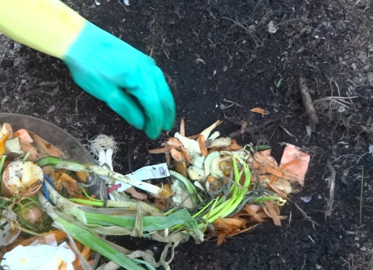 Pros and Cons of Trench Composting - Direct Compost Solutions