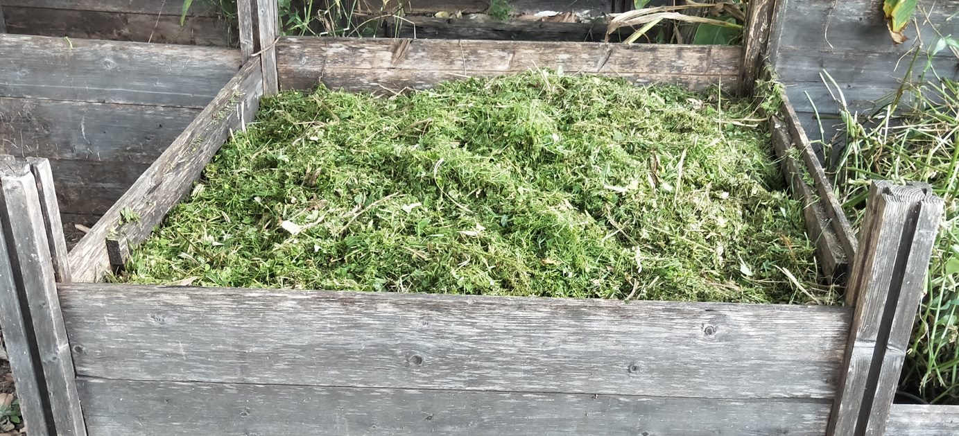 Composting Scurvy Weed - Direct Compost Solutions