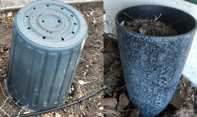 Composting Scurvy Weed - Direct Compost Solutions