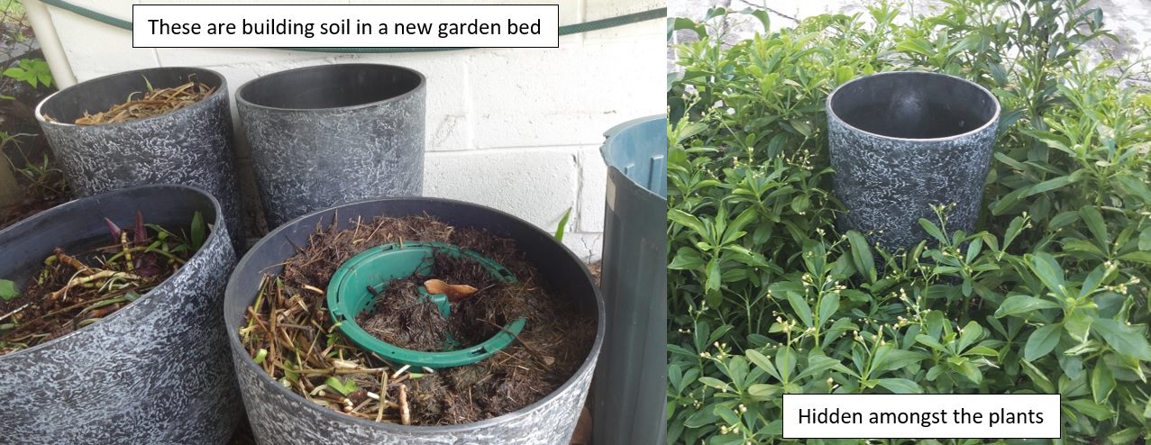 Composting Scurvy Weed - Direct Compost Solutions