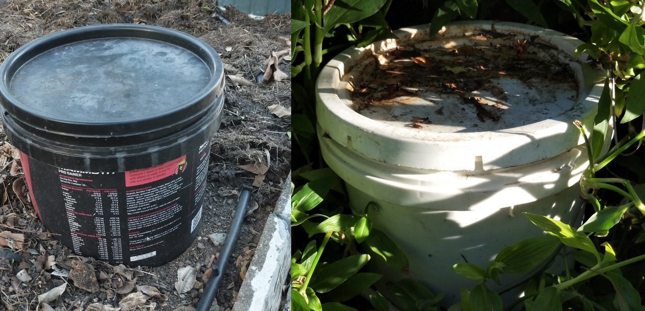 Composting Scurvy Weed - Direct Compost Solutions