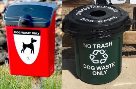 Composting Dog Poop & Compostable Bags with 2 Easy Methods