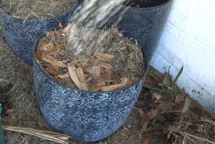 Composting Dog Poop & Compostable Bags with 2 Easy Methods