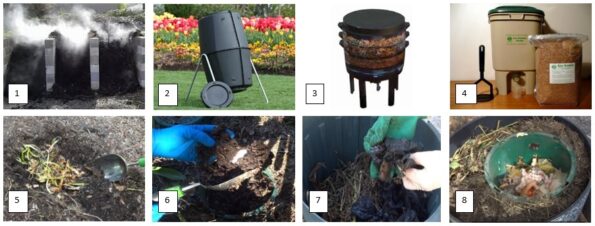 8 Ways to Compost Dog Waste at Home - DCS