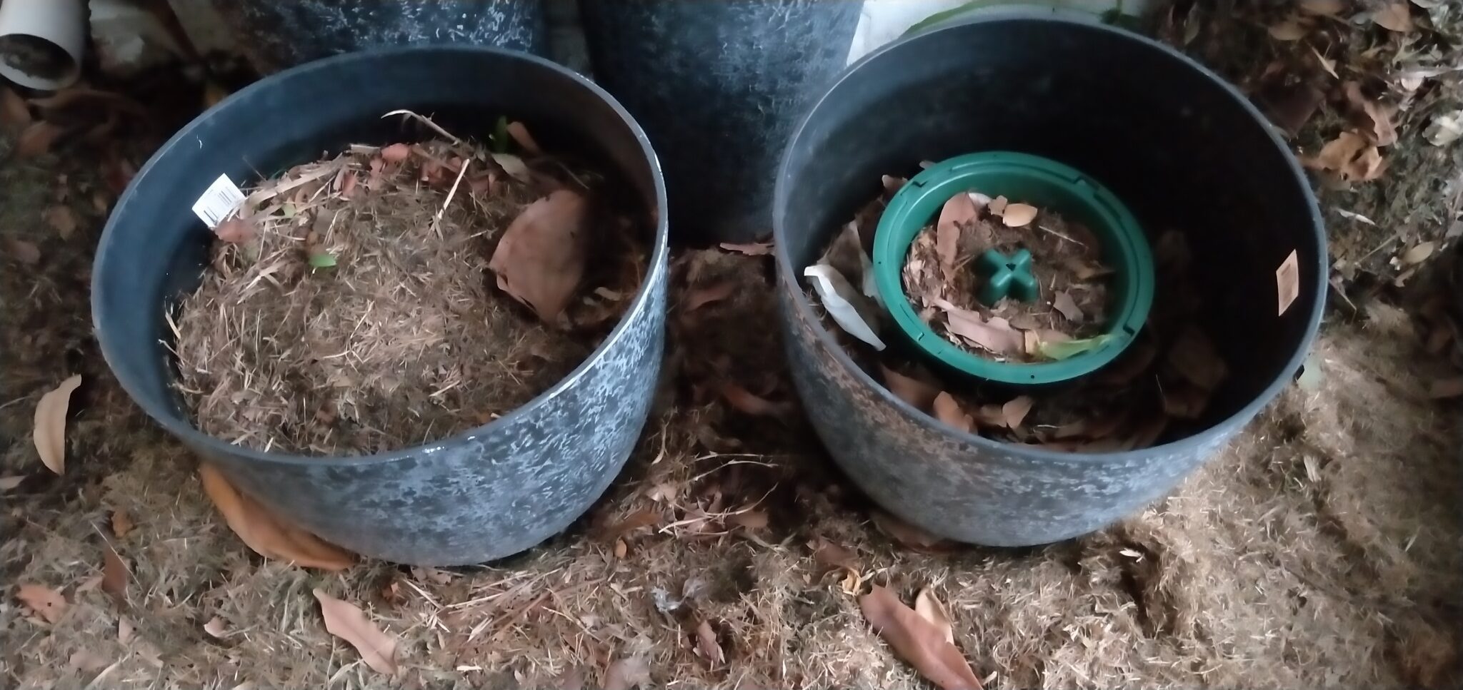 8 Ways to Compost Dog Waste at Home - DCS